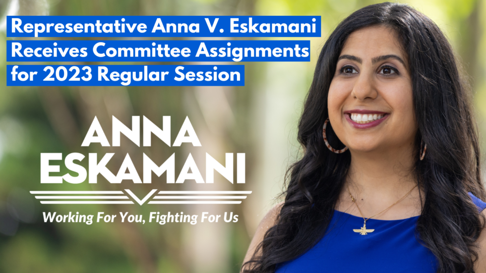 Representative Anna V. Eskamani Receives Committee Assignments for 2023 ...
